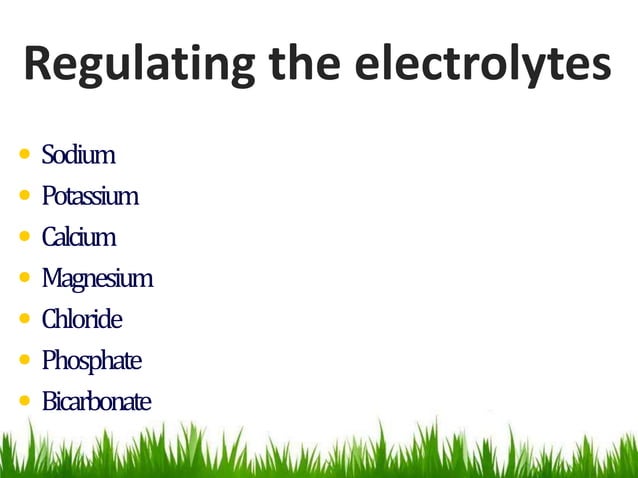 Fluid,electrolyte, acid base balance and homeostasis | PPTX | Digestive ...