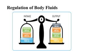 FLUID , ELECTROLYTE AND ACID BASE BALANCE .pptx | Chemistry | Science