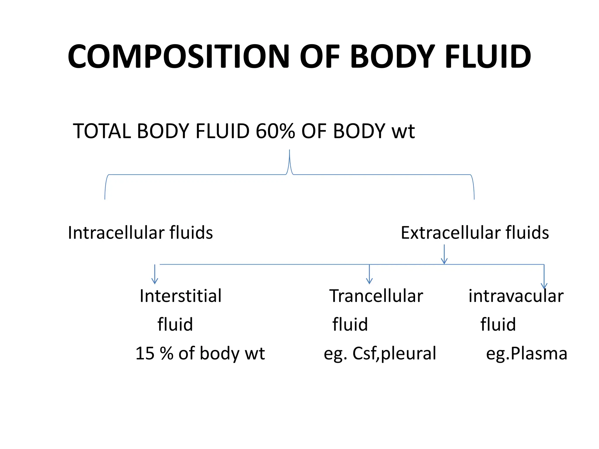 Fluid electrolyte balance Adult health .pptx