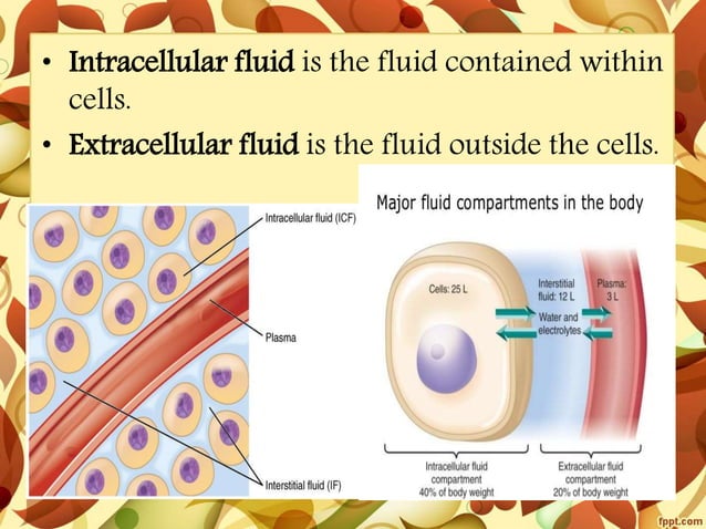 Fluid & electrolyte imbalance | PPT