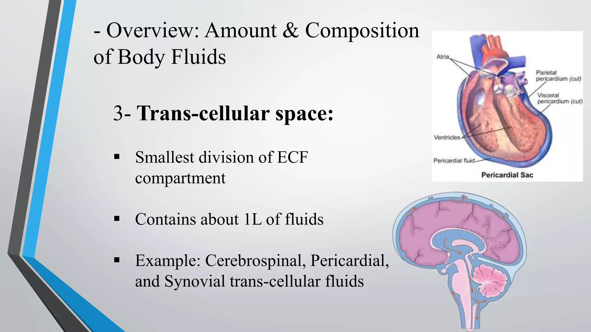 Fluid & Electrolyte Imbalances.pptx | Chemistry | Science
