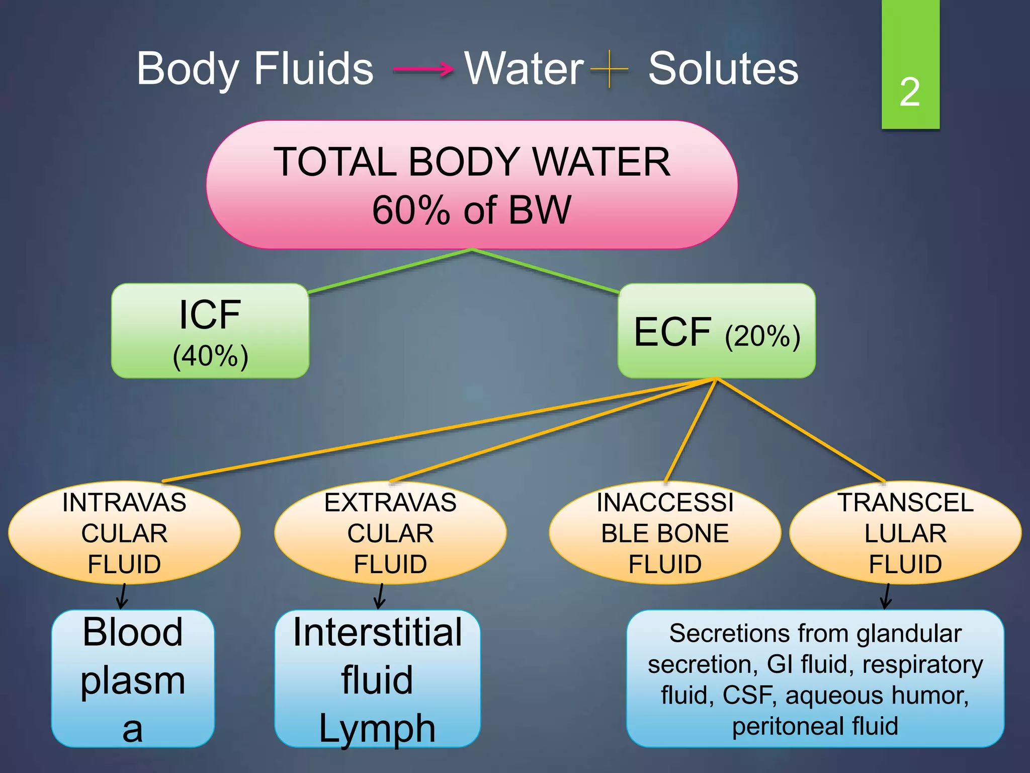 Fluid & electrolyte therapy | PPTX