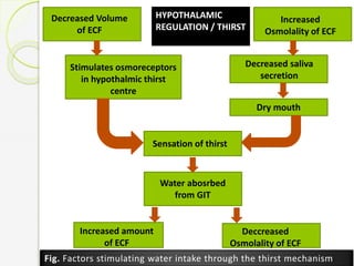Electrolyte Imbalance Chart