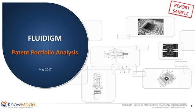 Fluidigm patent portfolio analysis sample | PPT