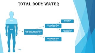 Fluid imbalance | PPT