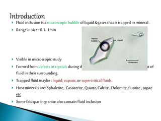 Fluid inclusion | PPTX