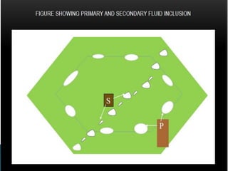 Fluid inclusion | PPTX