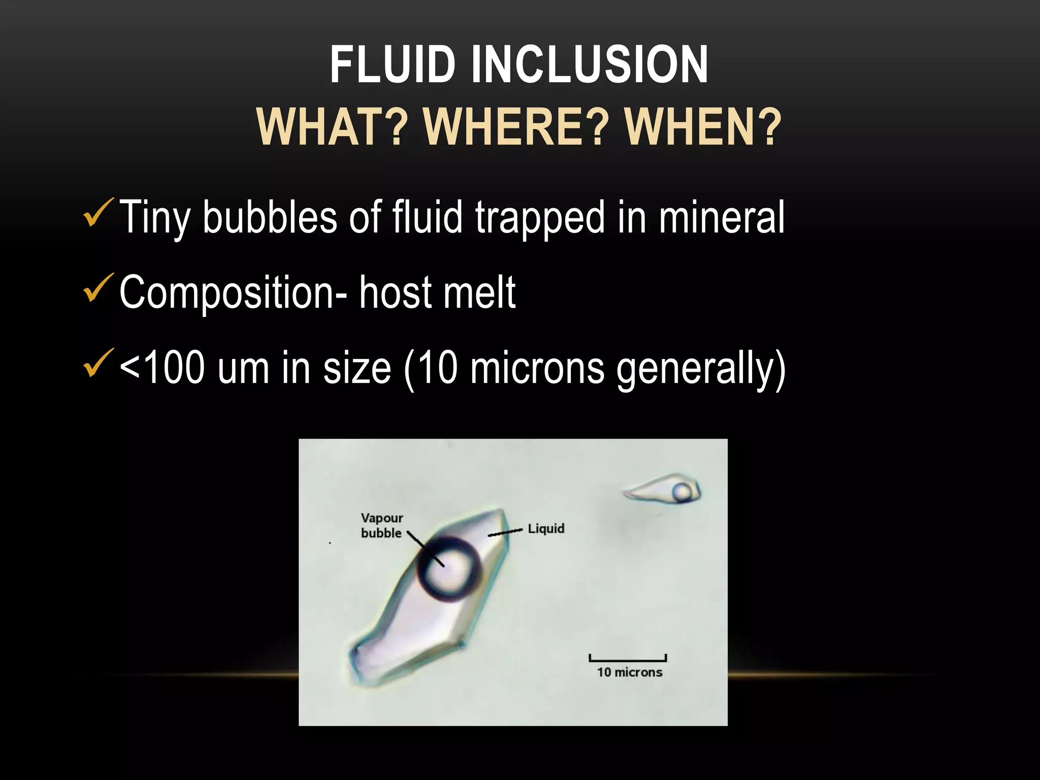 Fluid inclusion in ores | PPTX