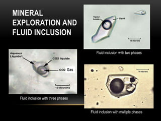 Fluid inclusion in ores | PPTX