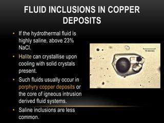 Fluid inclusion in ores | PPTX