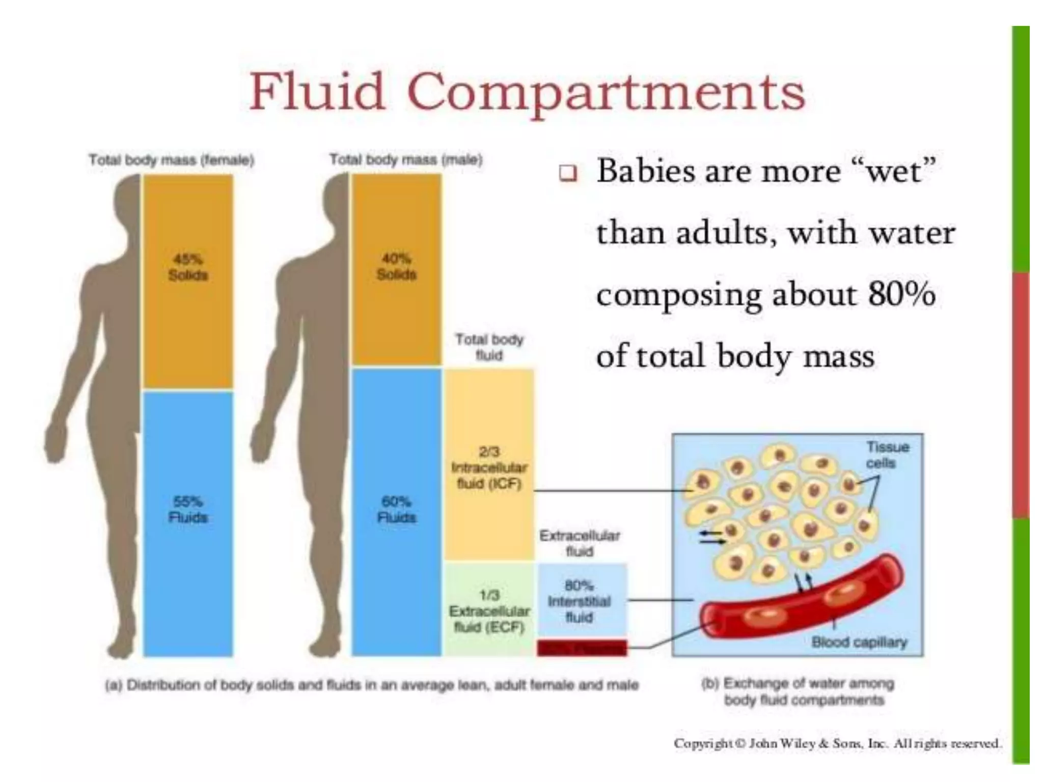 Lecture 7: Fluid loss and management | PPT