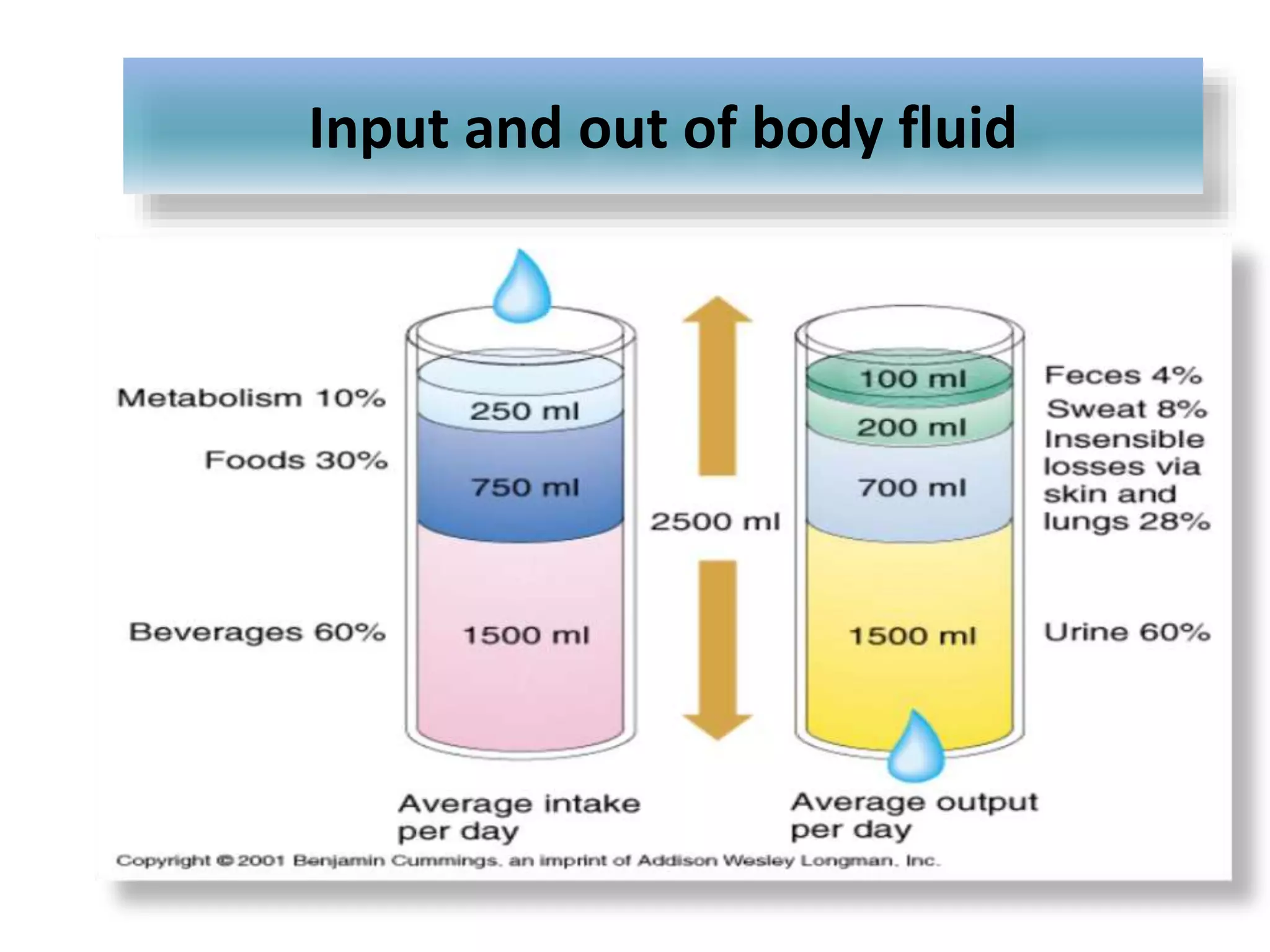 Lecture 7: Fluid loss and management | PPT