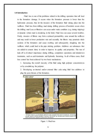 Fluid loss control additives | DOCX