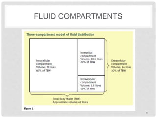 Fluid management | PPTX