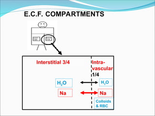 fluid management-.ppt it is about fluids | PPT