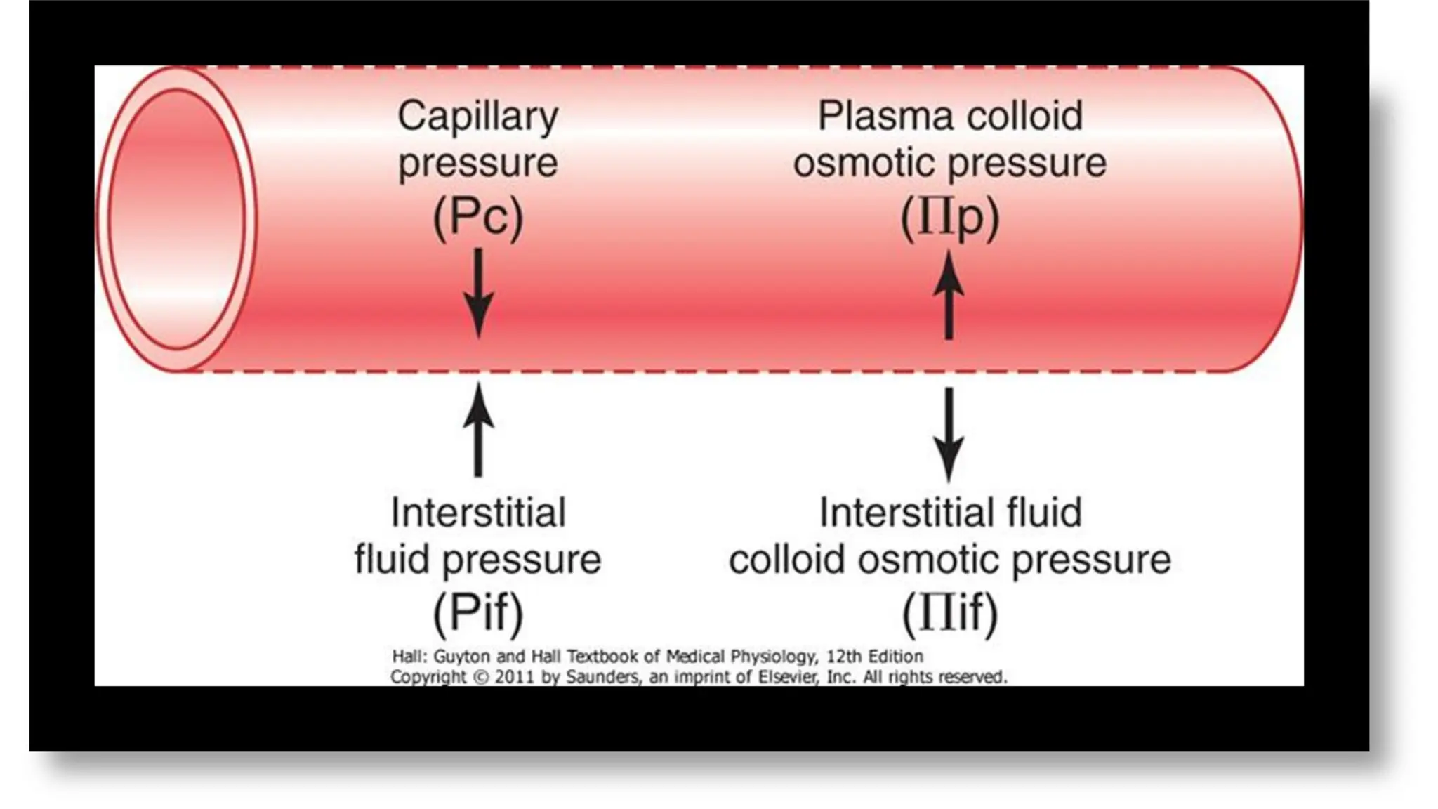 FLUID MANAGEMENT fluid management nnj.pptx