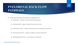 Fluid management in surgical patients | PDF