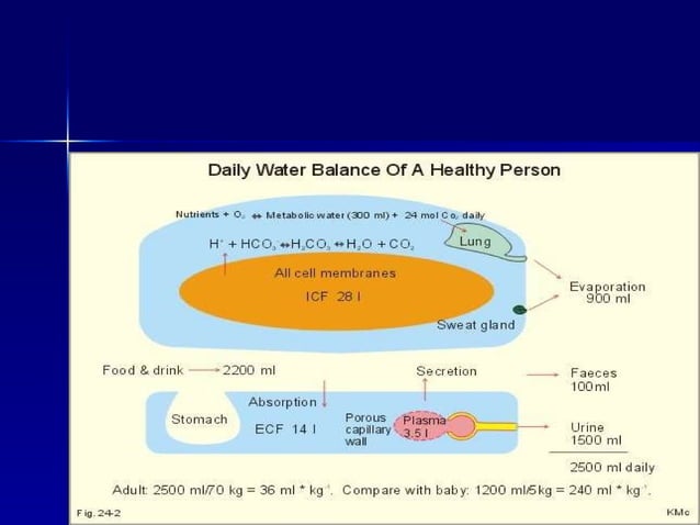 Fluid management for well and sick children | PPT