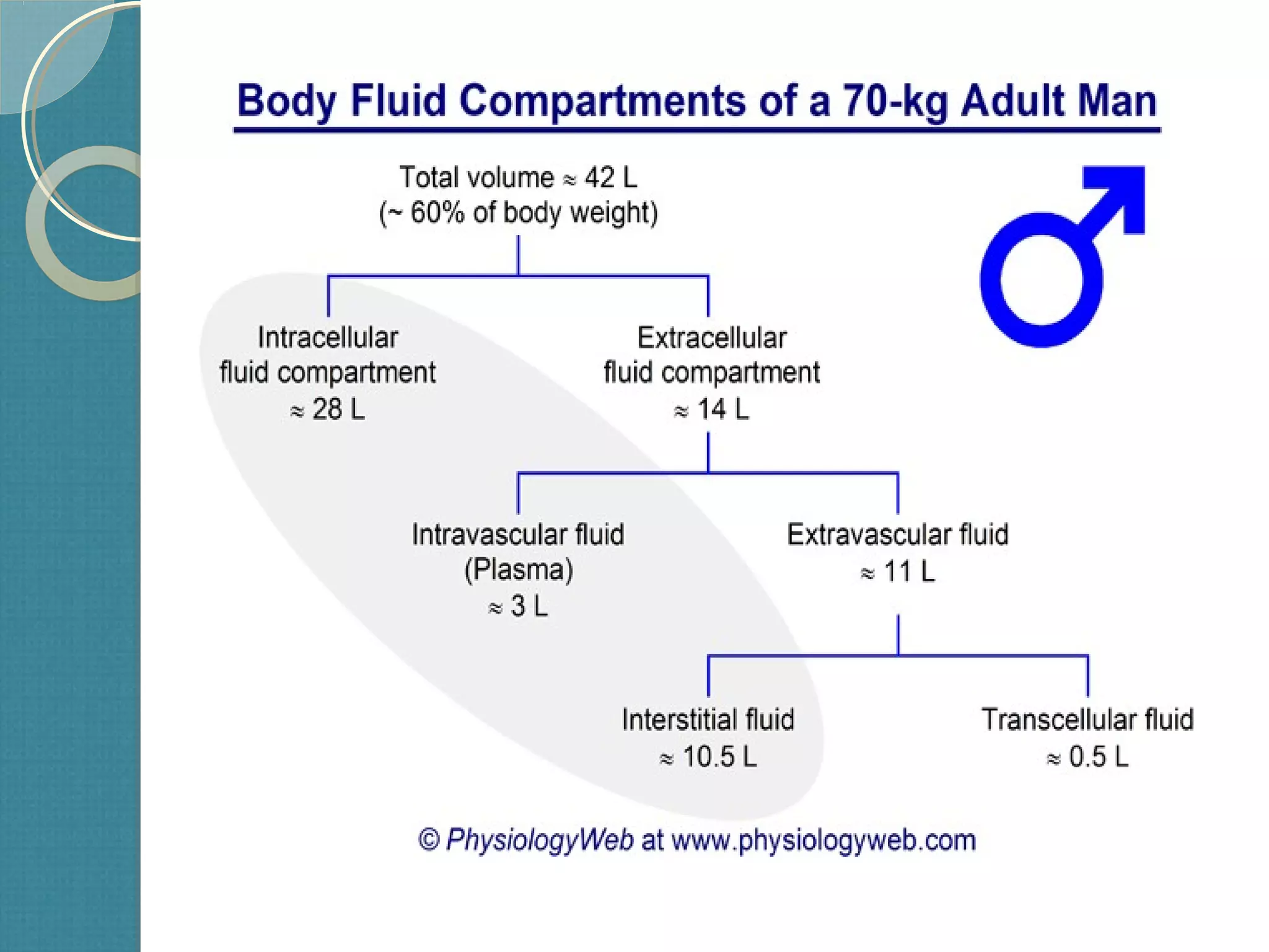 Fluid management in ICU | PPT