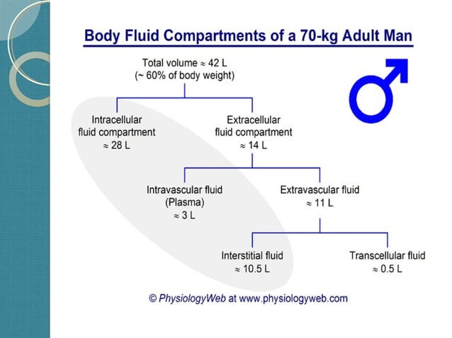 Fluid management in ICU | PPT