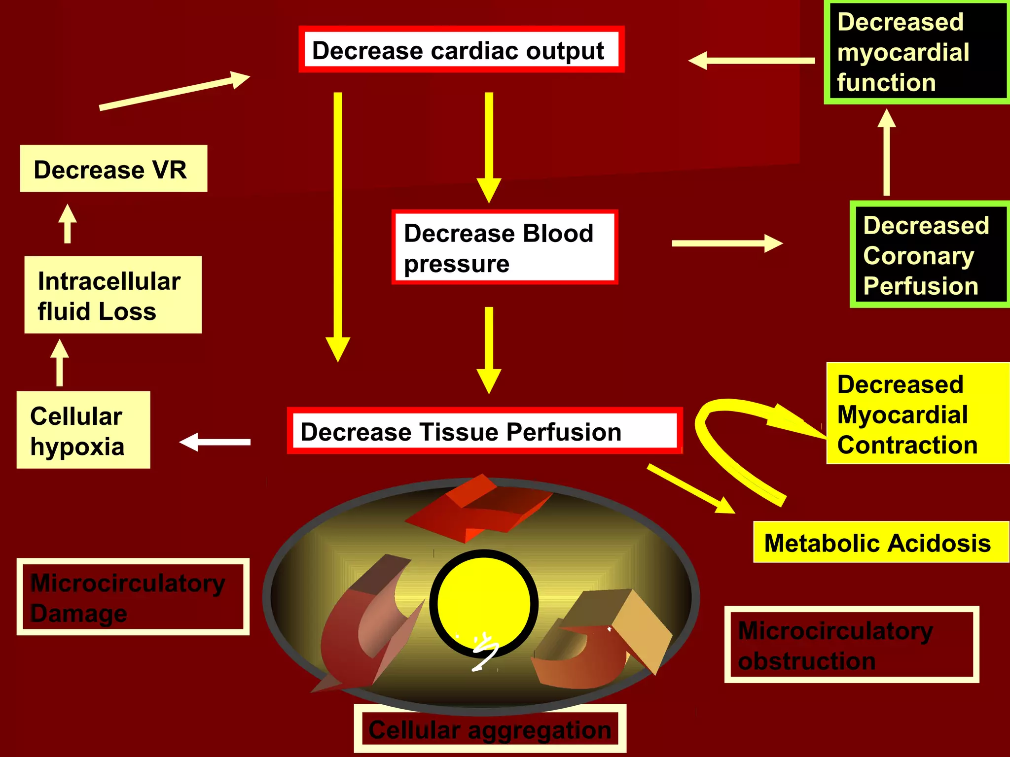 Fluid management in icu dr vijay | PPT