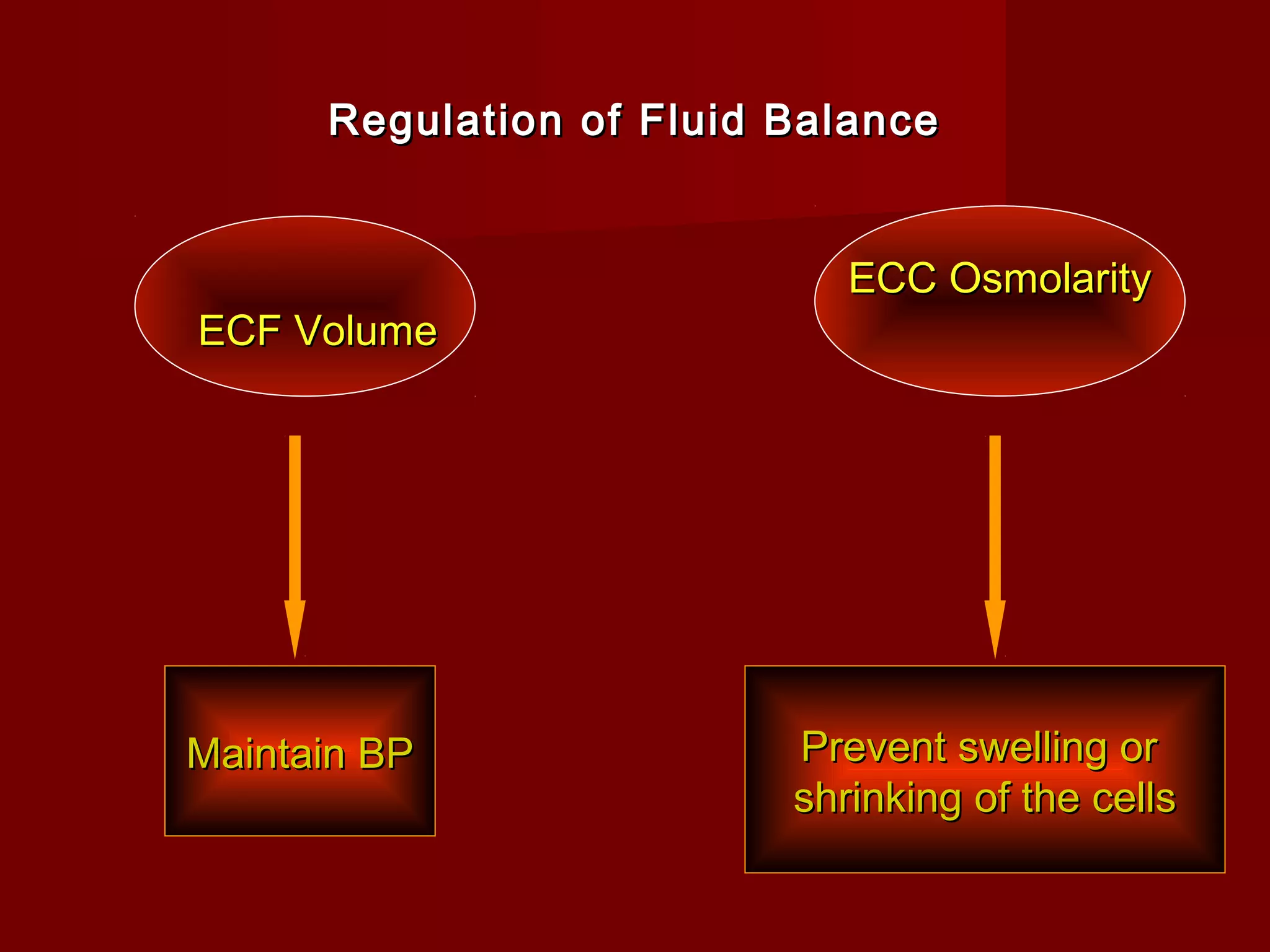 Fluid management in icu dr vijay | PPT