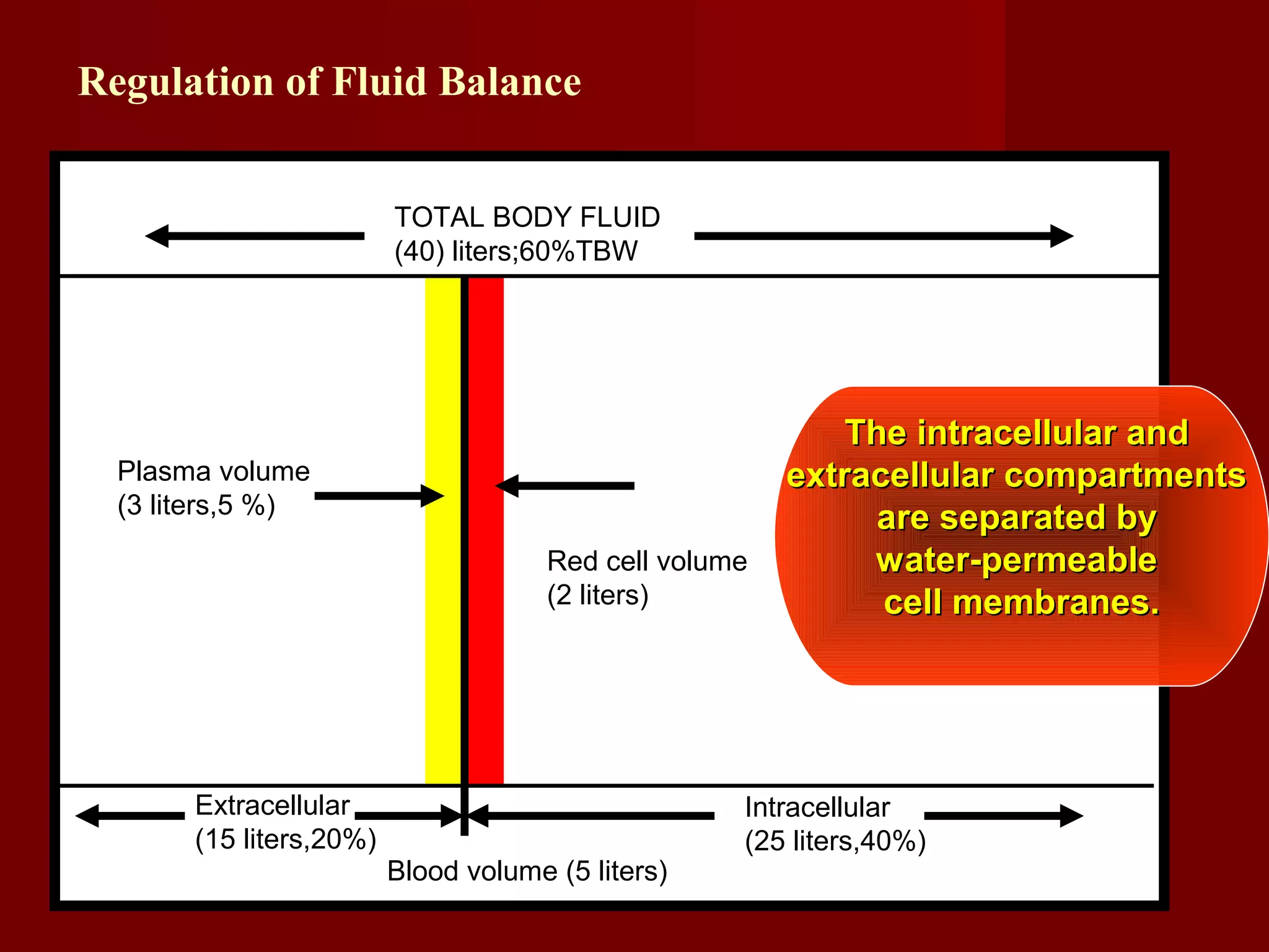Fluid management in icu dr vijay | PPT