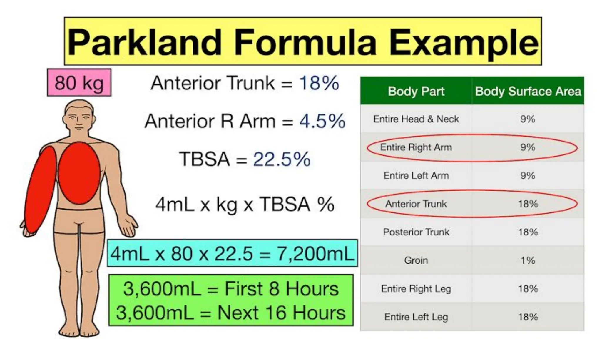 Burn Fluid management formulas .pdf
