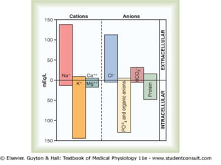 Fluid and electrolyte management among neonates | PPT