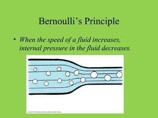 Fluid mechanics | PPT