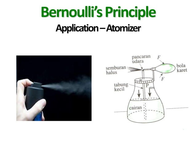 Bernoulli's Principle | PPT