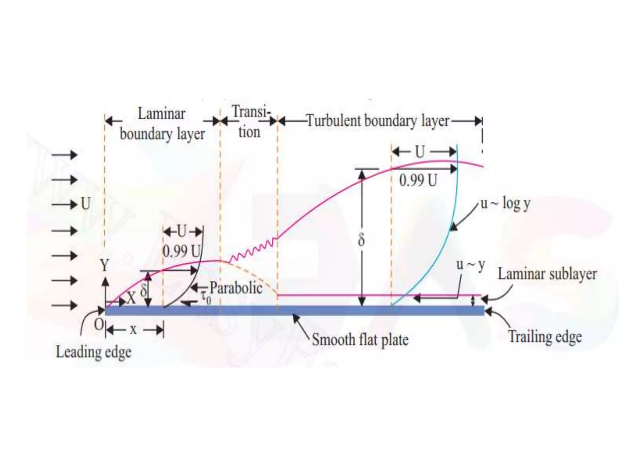 laminar and Turbulent flow | PPTX