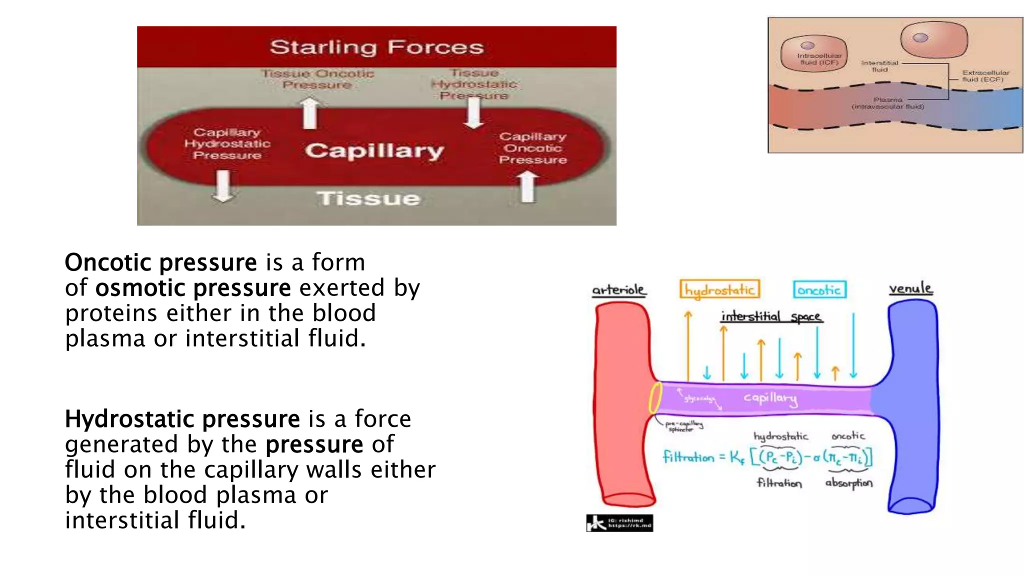 Fluid management in Pediatrics | PPTX