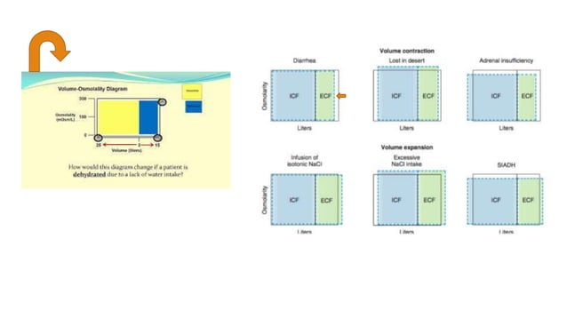 Fluid management in Pediatrics | PPTX