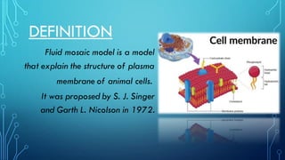 fluid mosaic model.pdf | Chemistry | Science