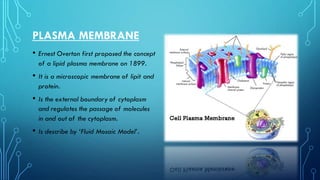 fluid mosaic model.pdf | Chemistry | Science