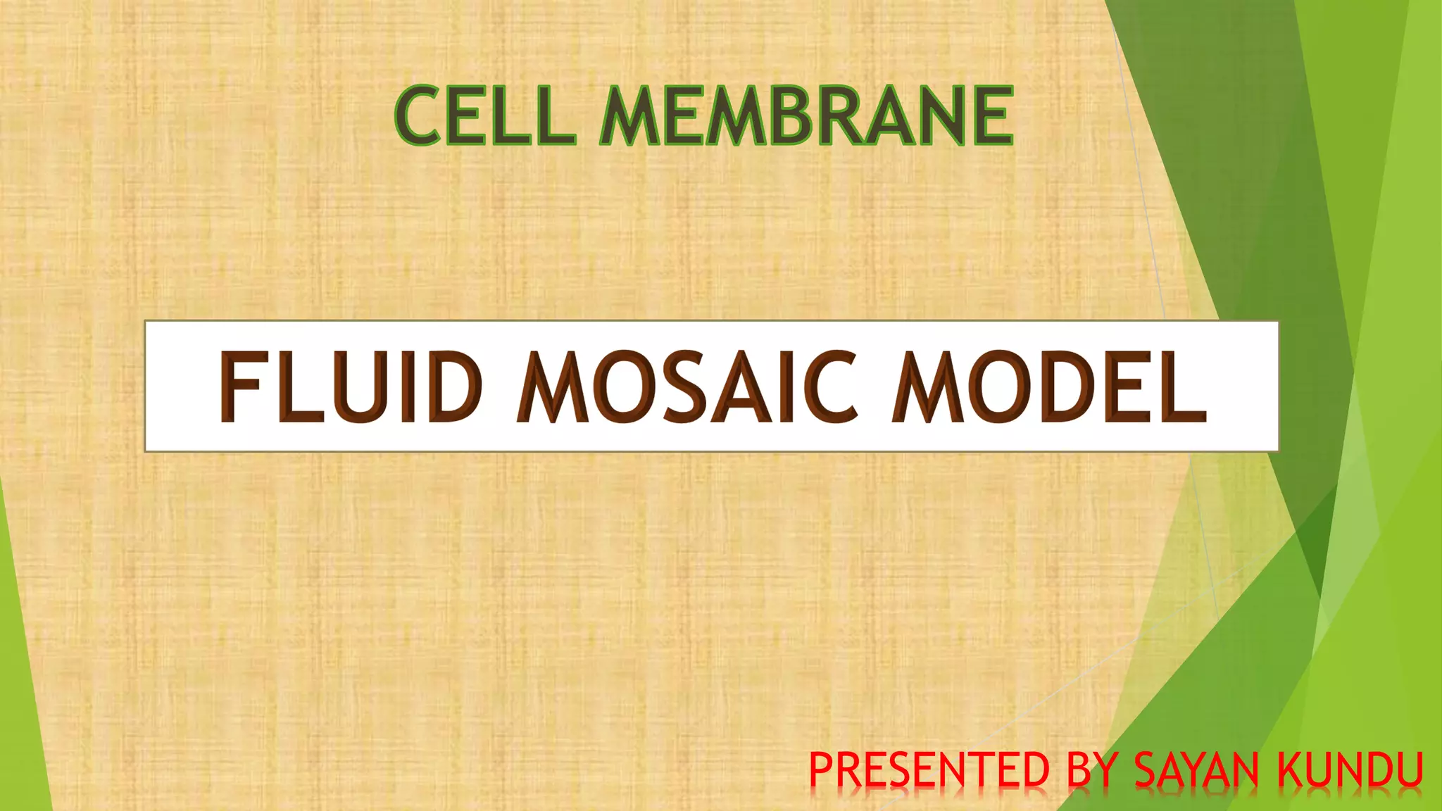 FLUID MOSAIC MODEL.pdf