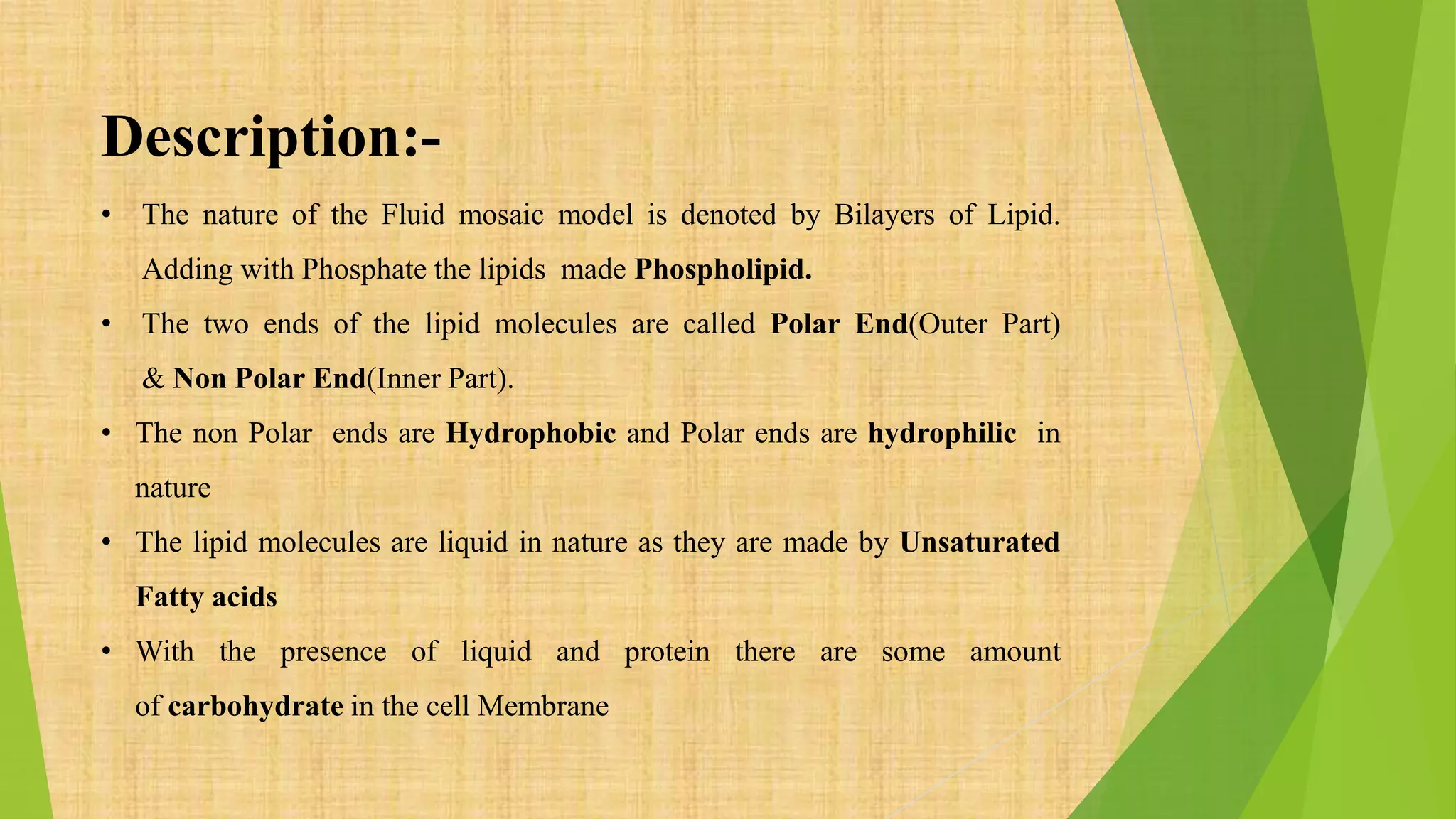 FLUID MOSAIC MODEL.pdf