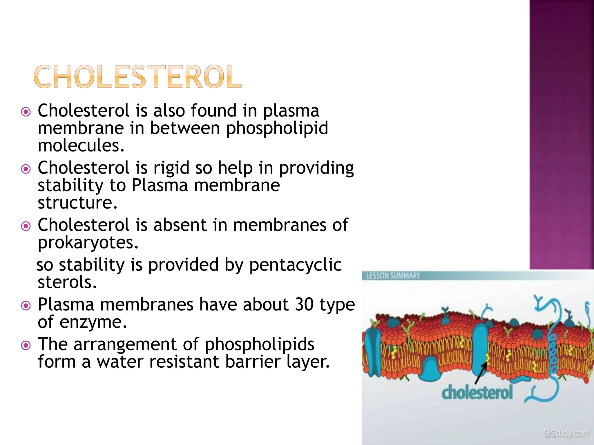 Plasma membrane( fluid mosaic model)ppt. | PPTX