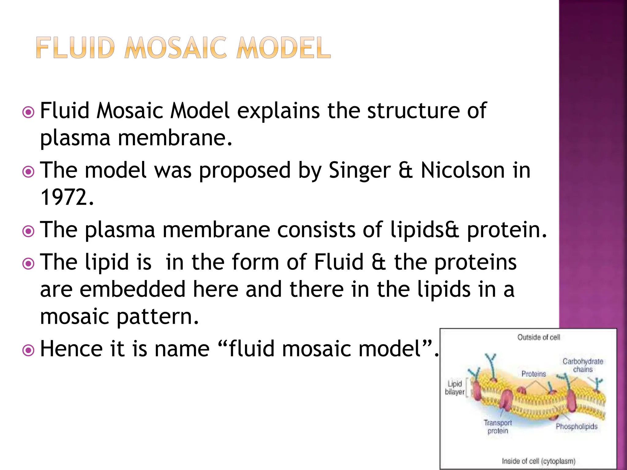 Plasma membrane( fluid mosaic model)ppt. | PPTX