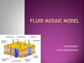 Plasma membrane( fluid mosaic model)ppt. | PPTX