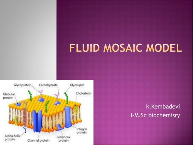 Plasma membrane( fluid mosaic model)ppt. | PPTX | Chemistry | Science