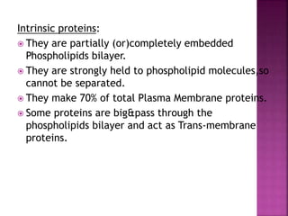 Plasma membrane( fluid mosaic model)ppt. | PPTX