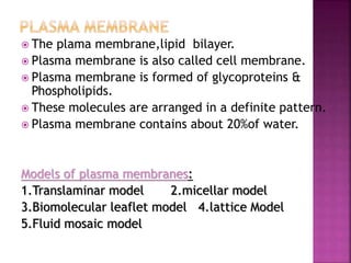 Plasma membrane( fluid mosaic model)ppt. | PPTX