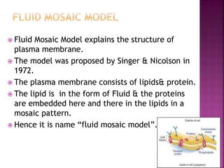 Plasma membrane( fluid mosaic model)ppt. | PPTX