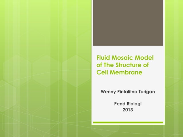 Fluid Mosaic Model | PPTX