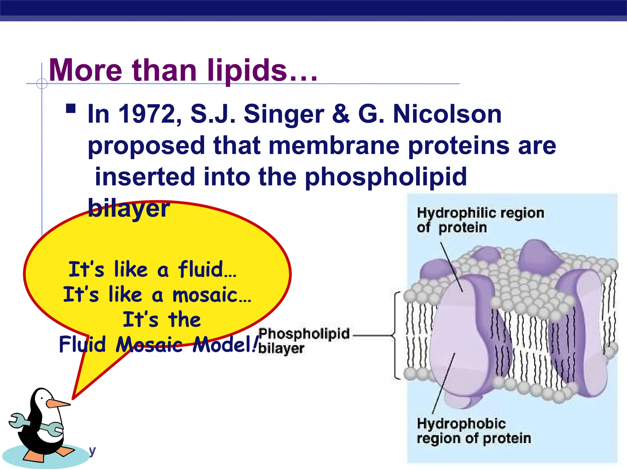 Fluid mosaic model of cell membrane.pptx