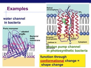 Fluid mosaic model of cell membrane.pptx