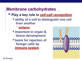 Fluid mosaic model of cell membrane.pptx
