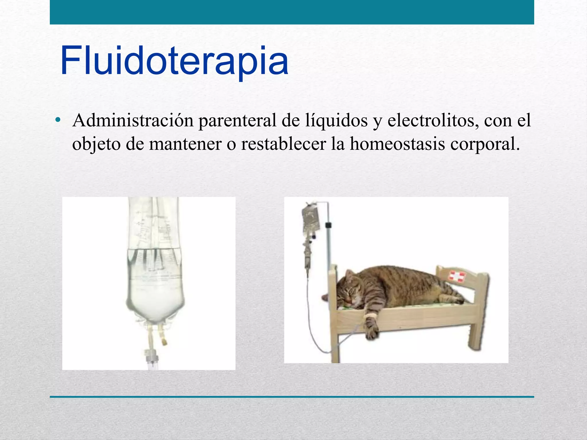 Fluidoterapia | PPTX
